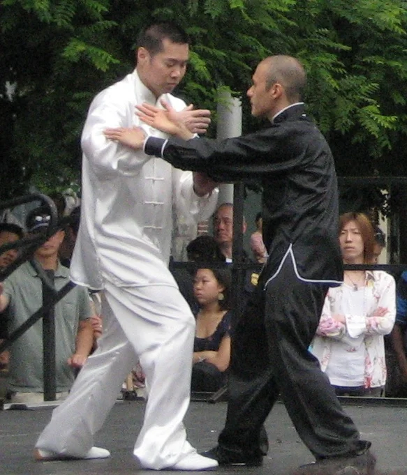 Our Programs — Calvin Chin's Martial Arts Academy