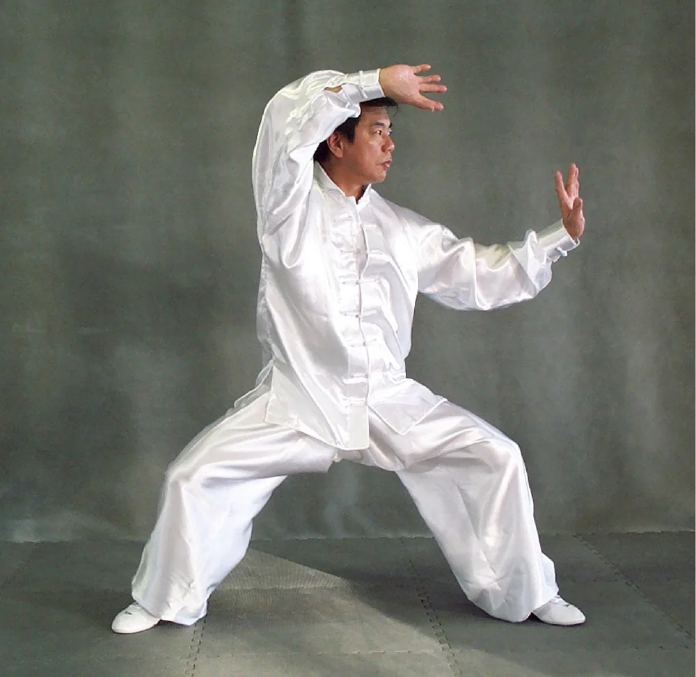 Our Programs — Calvin Chin's Martial Arts Academy