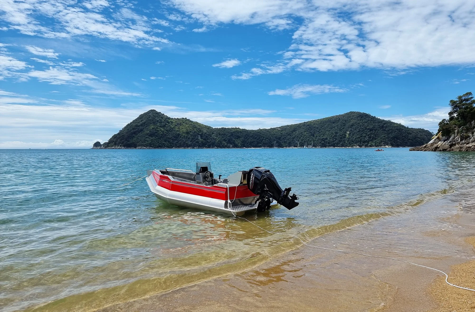 Console Pontoon Boats - Alloy Boats — Osprey NZ
