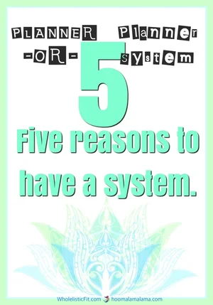 5 Reasons to have a planning system — Wholelisticfit.com™
