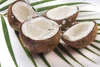 The Benefits of Drinking Coconut and Why You Should Add it to Your Diet ...