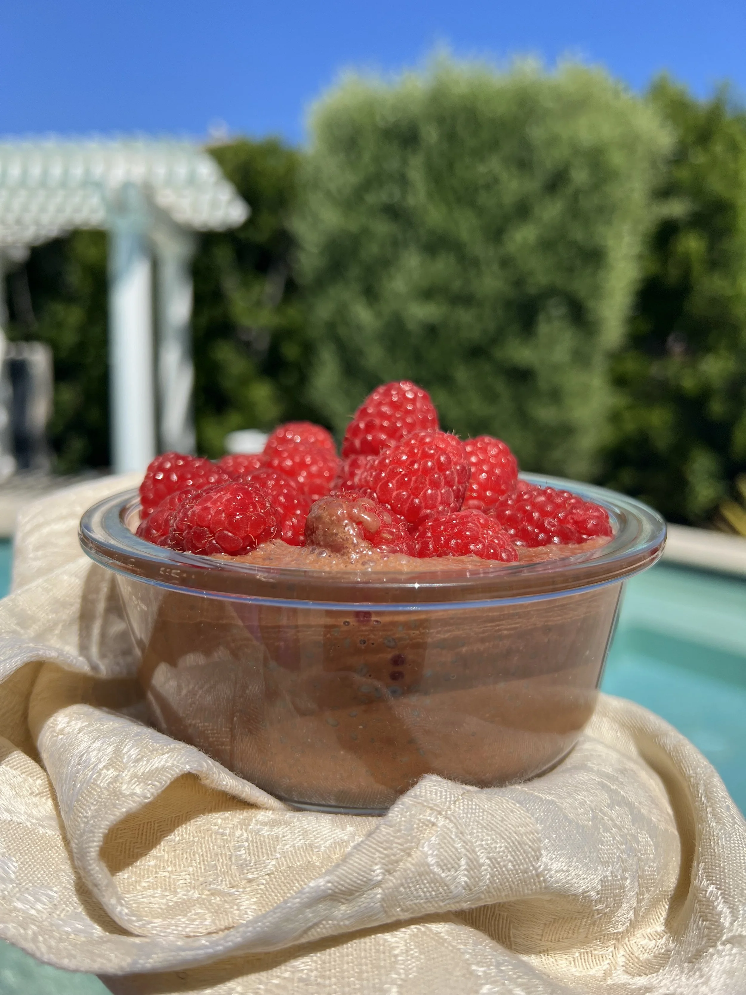 Zen Basil Seeds Chocolate Lectin-Free Raspberry Pudding — Zen Basil ...
