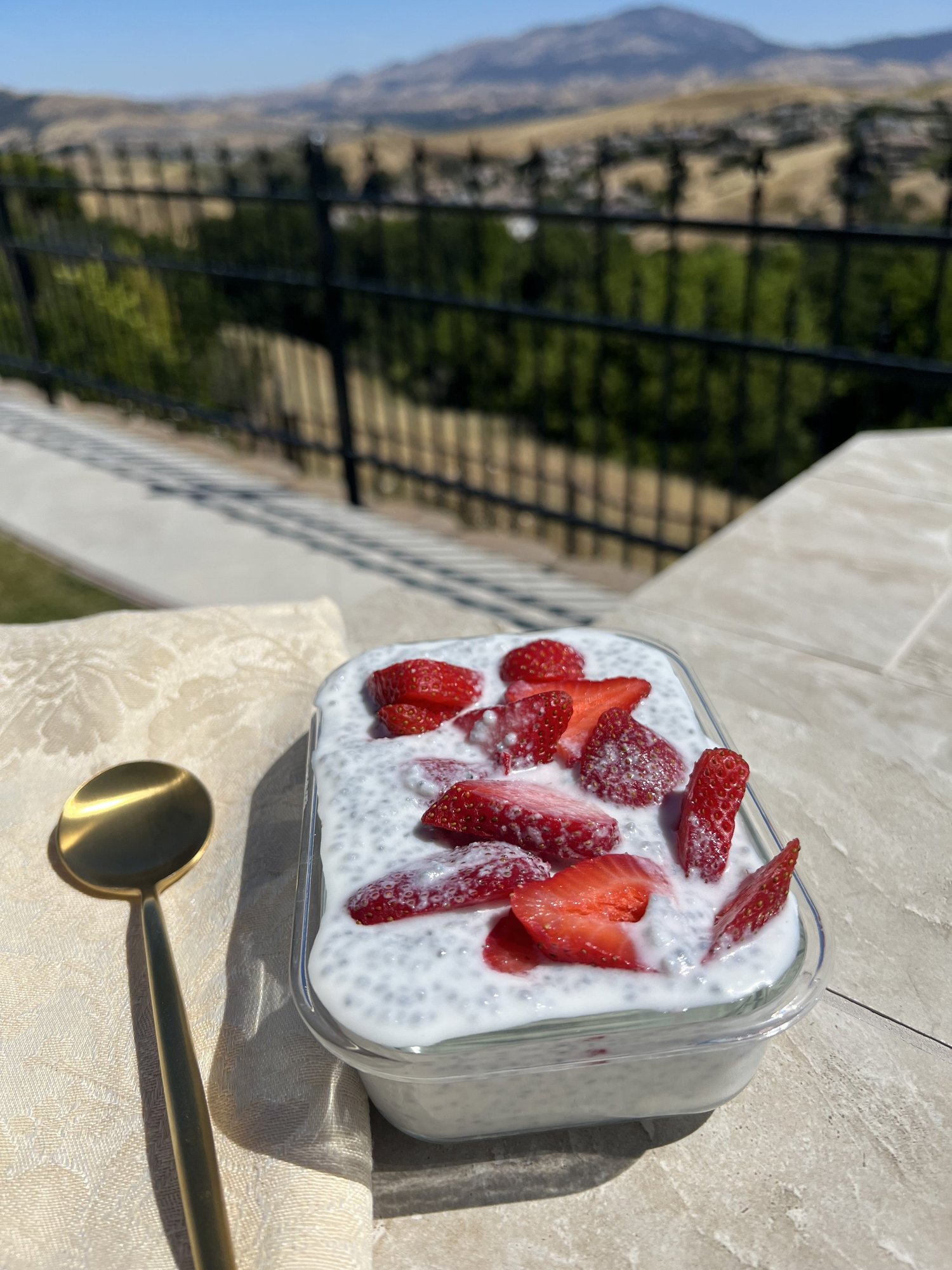 Pudding — Recipes — Zen Basil | Organic Basil Seeds | High Fiber Superfoods