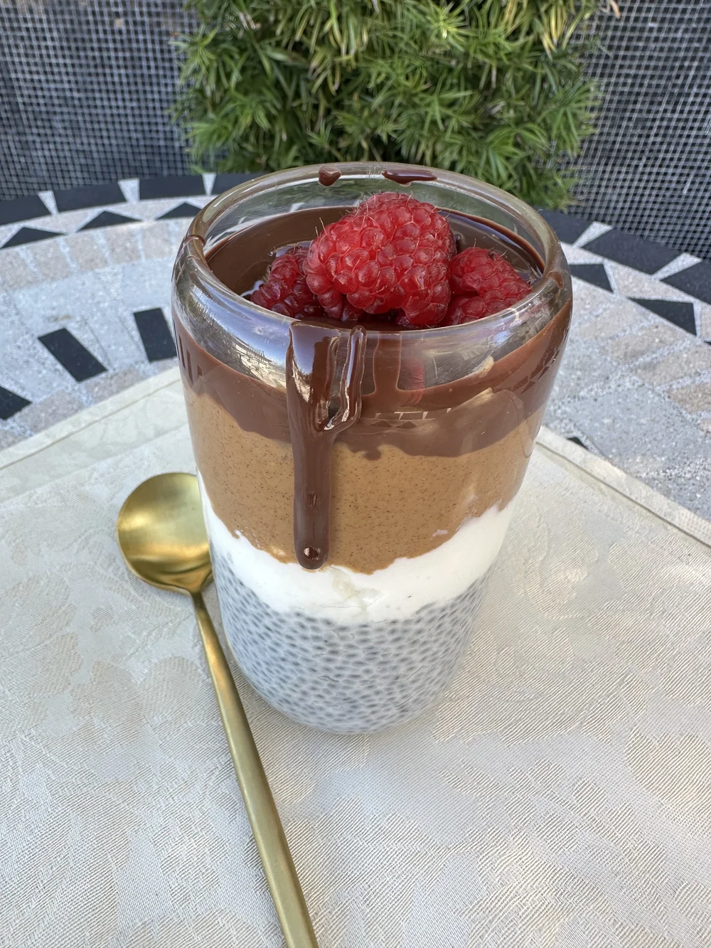 Pudding — Recipes — Zen Basil | Organic Basil Seeds | High Fiber Superfoods