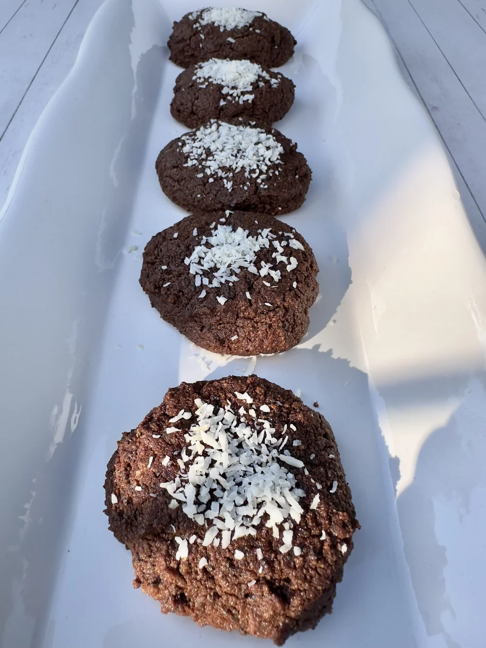 Coconut Cacao Cookies — Zen Basil | Organic Basil Seeds | High Fiber ...