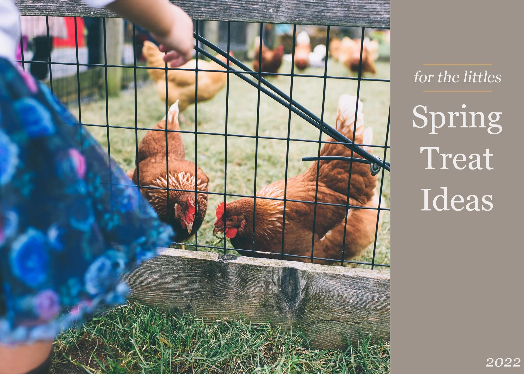 Spring Treats & Easter Basket Ideas for Littles (6 and under) — Salt ...