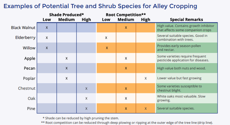 Alley Cropping with Forage Crops — Propagate