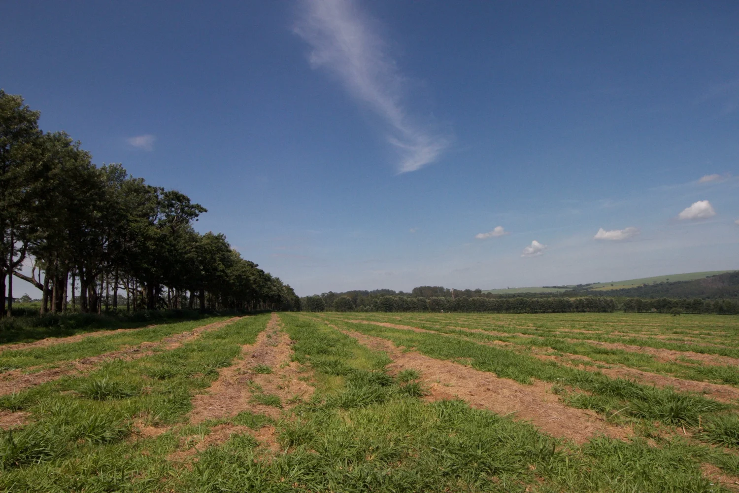 Cold Climate Syntropic Agriculture — Propagate