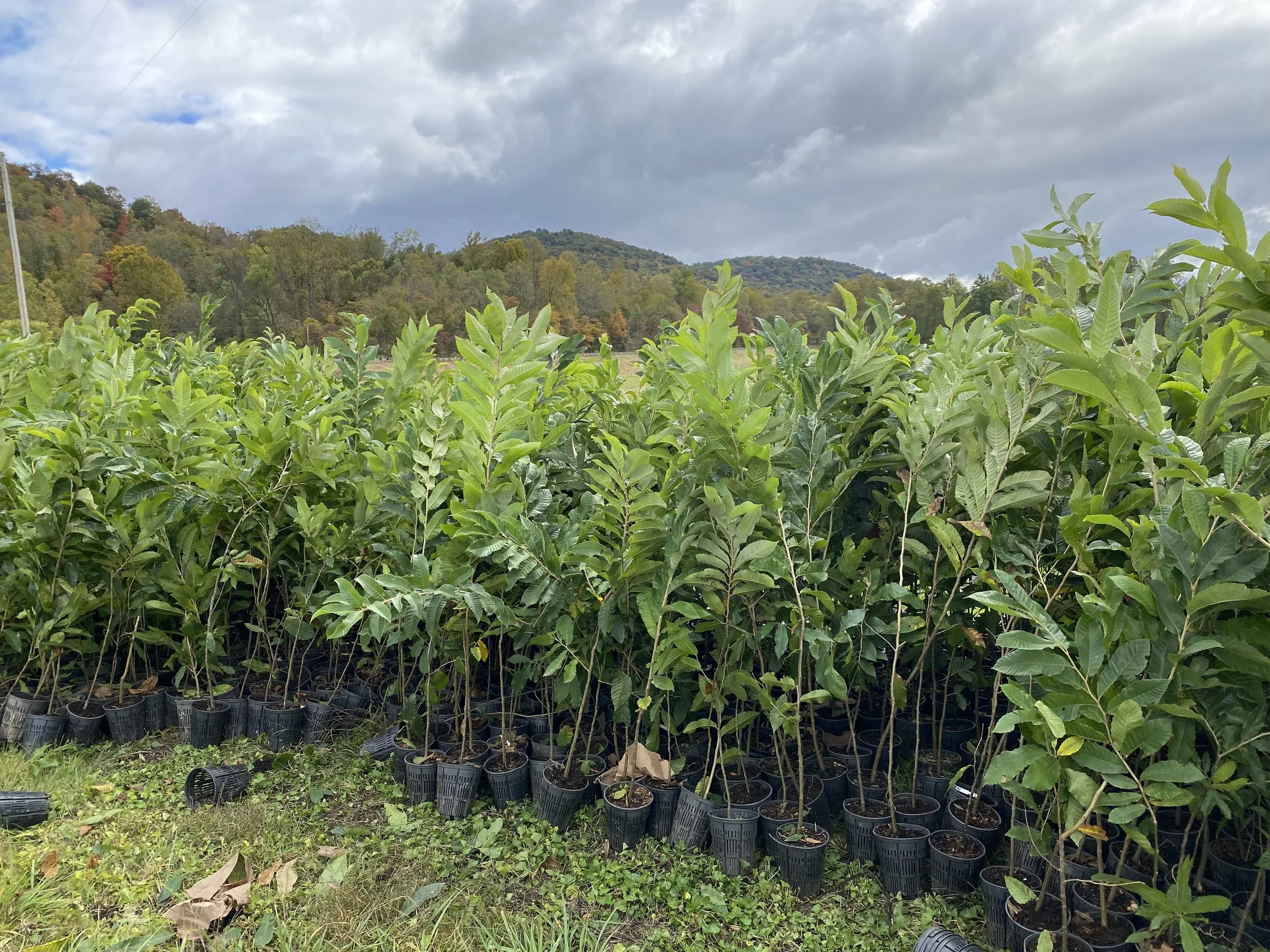 Farm Services — Propagate