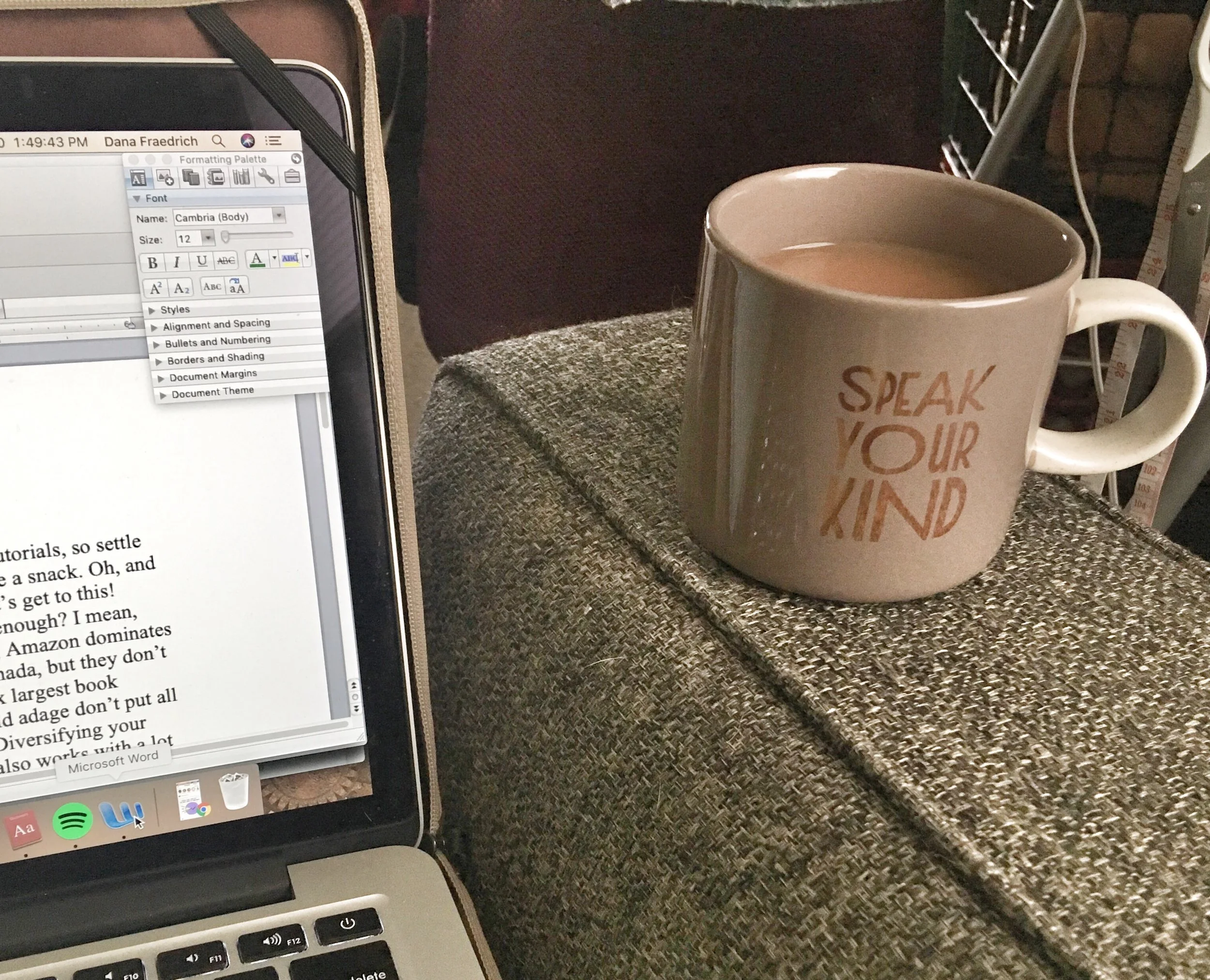 Using IngramSpark: My Experience and Mistakes — Dana Fraedrich