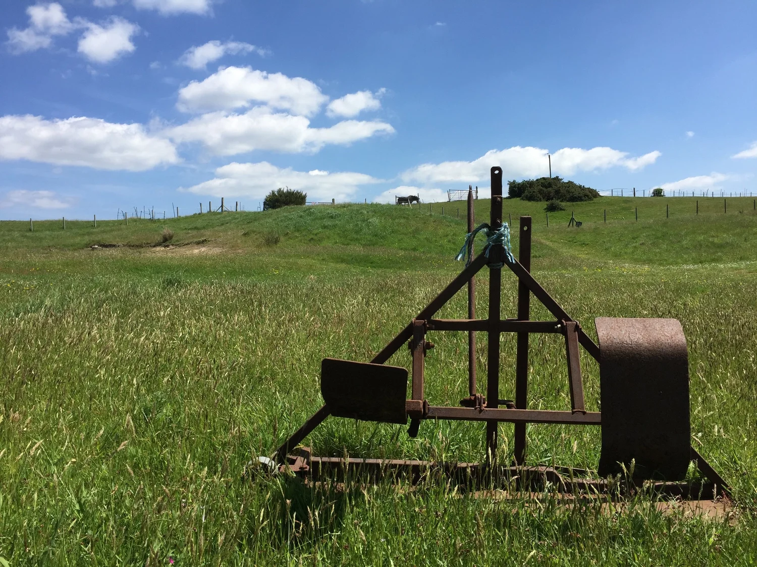 Hartland Stud - Camp Hartland Campsite, Offices and Stables in the ...