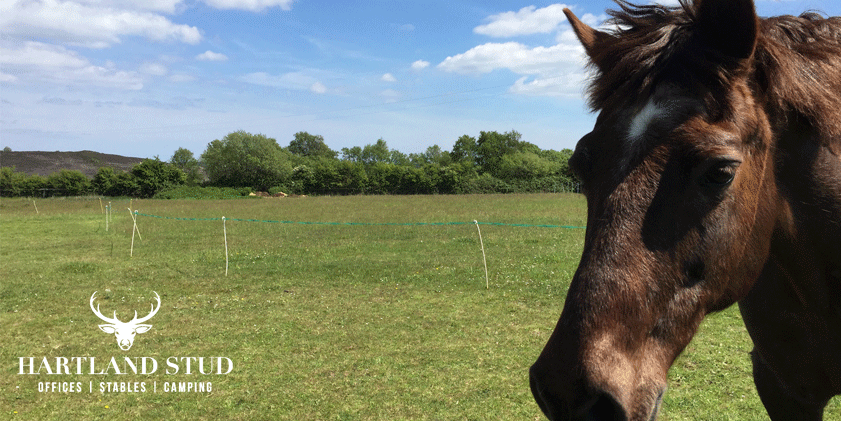 Hartland Stud - Camp Hartland Campsite, Offices and Stables in the ...