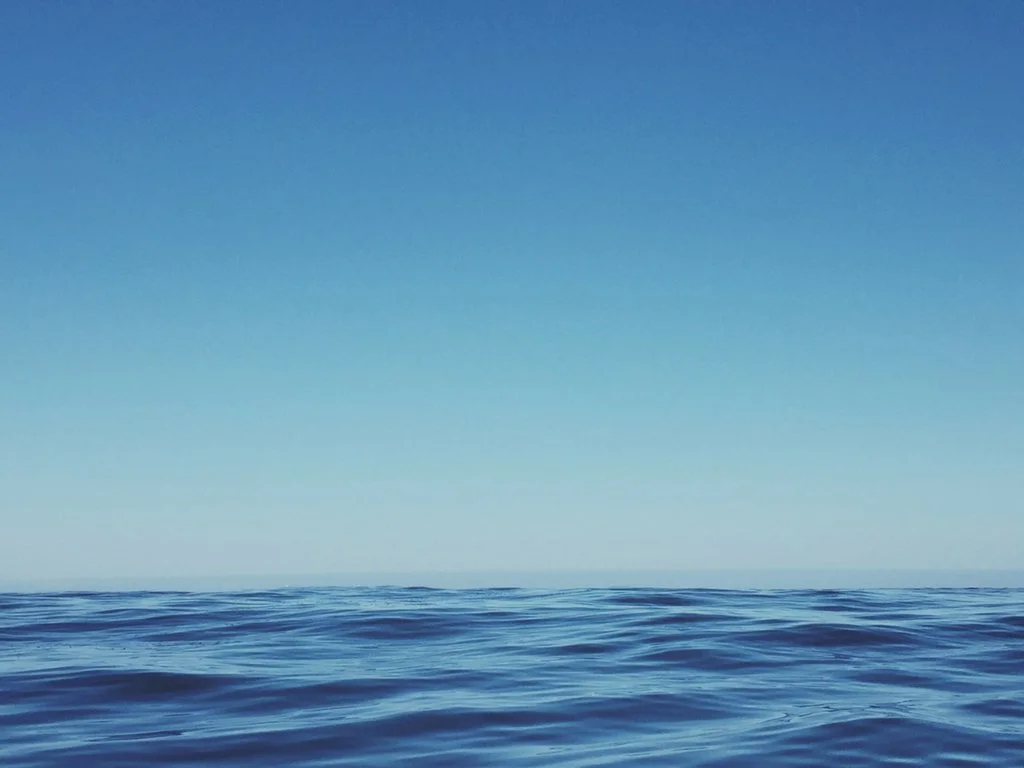 Vacancies — WISP Global