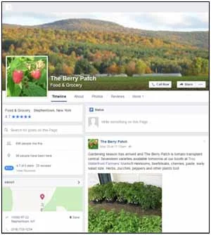 Berry Netting — THE BERRY PATCH