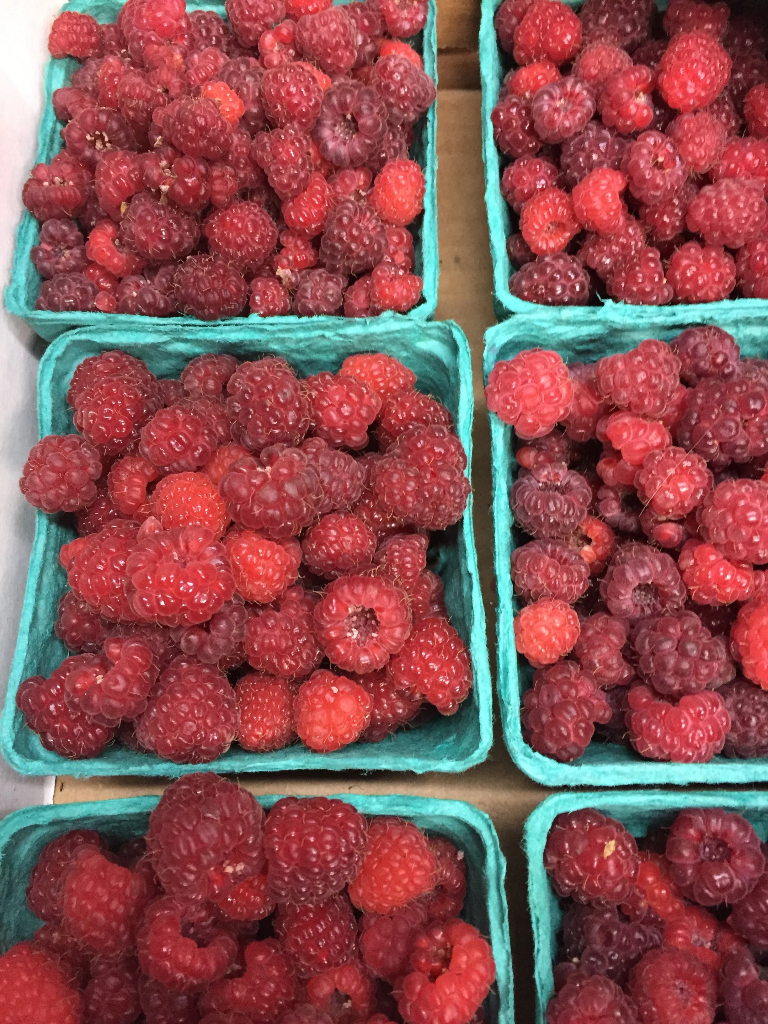 The Berry Patch