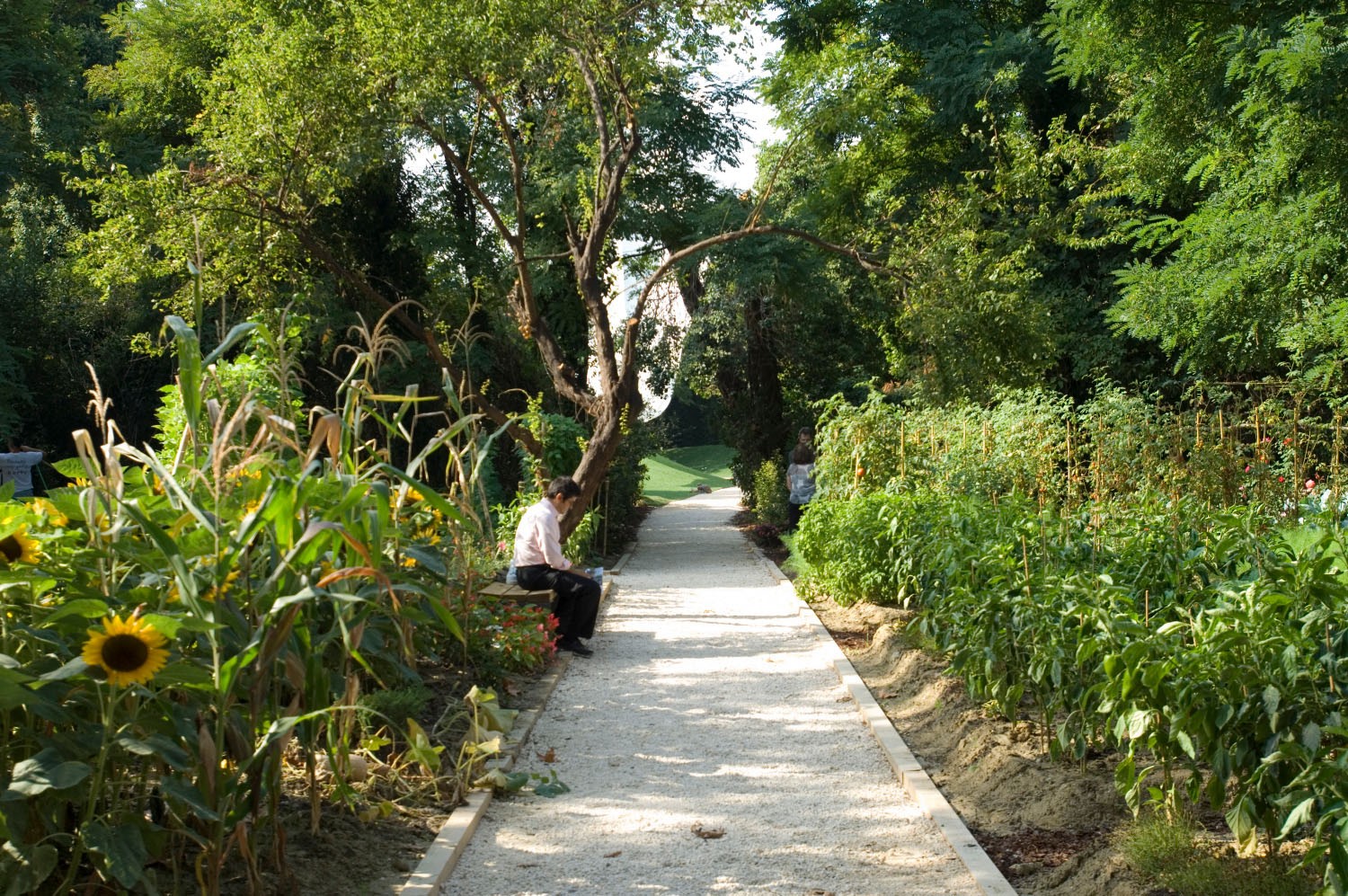 Towards Paradise (Venice Biennale 2008) — Gustafson Porter + Bowman