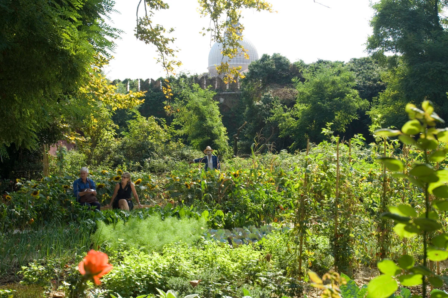 Towards Paradise (Venice Biennale 2008) — Gustafson Porter + Bowman