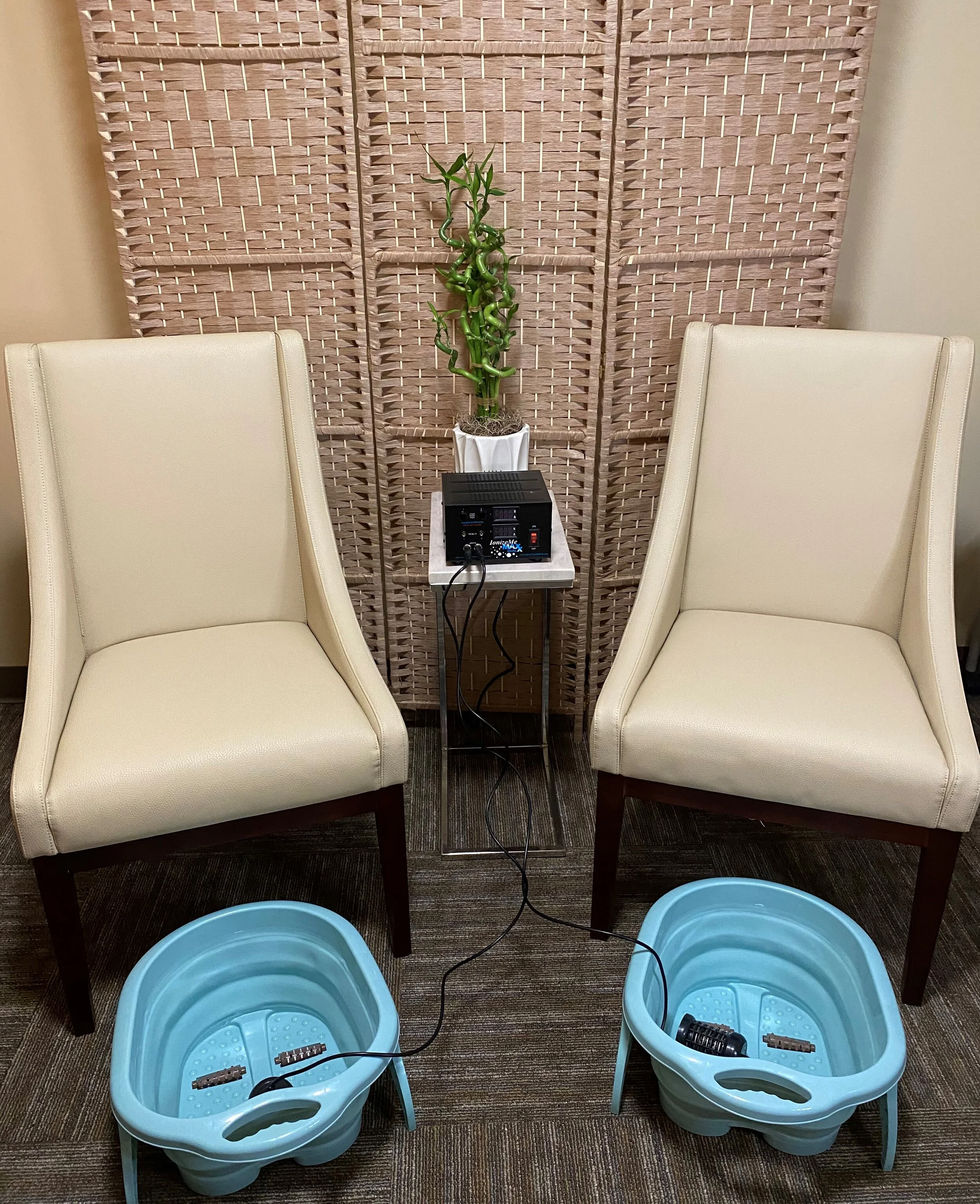 Ion Detox Foot Bath — Green Lotus Yoga & Healing Center