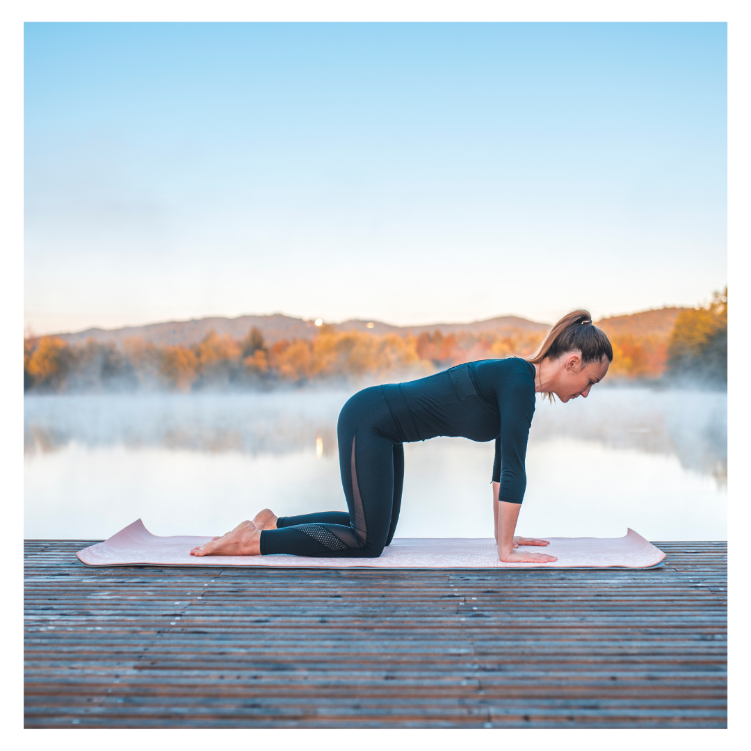 Easing Into Downward Facing Dog — Green Lotus Yoga & Healing Center