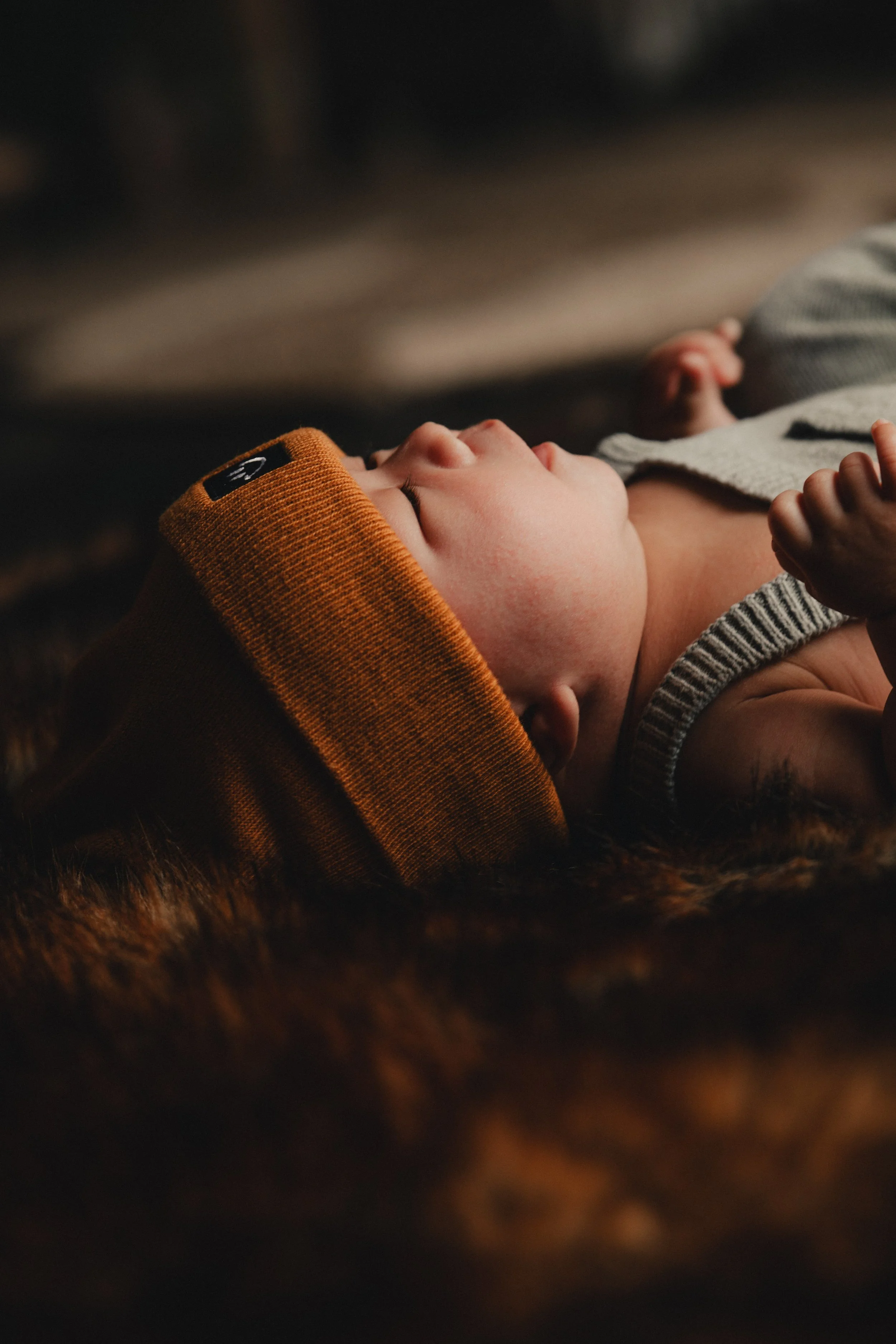 A Baby Session at Lion and Ram in Middletown, Ohio. — Every Atom ...