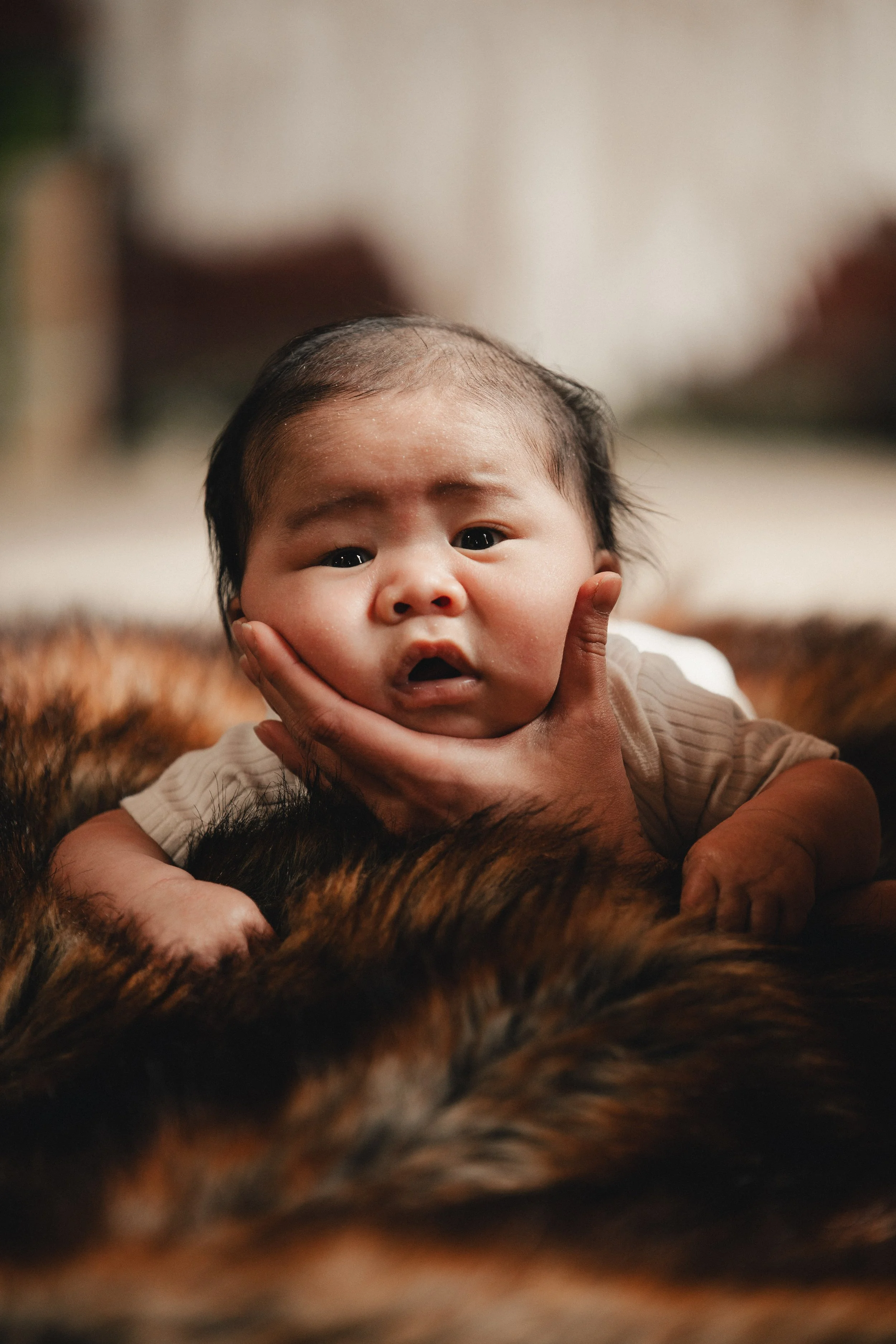 A Baby Session at Lion and Ram in Middletown, Ohio. — Every Atom ...