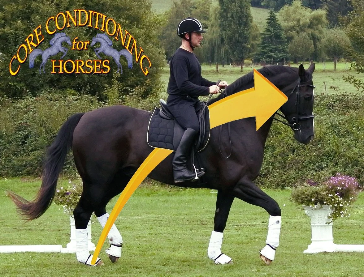 Core Conditioning For Horses