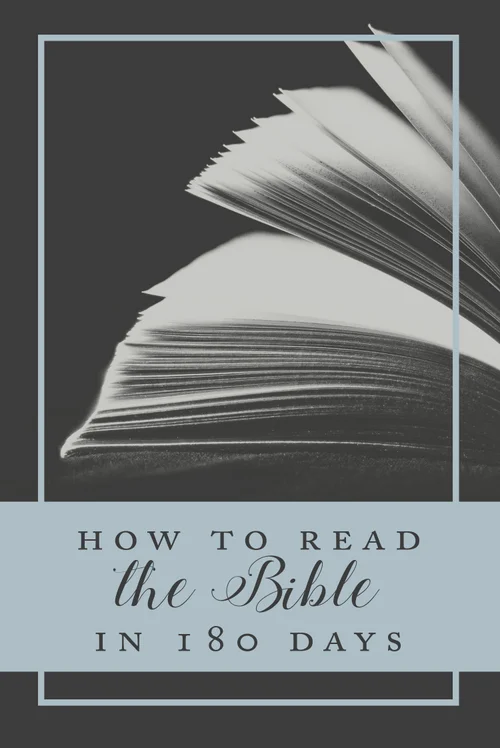 how to read the Bible in 180 days — Hallie writes