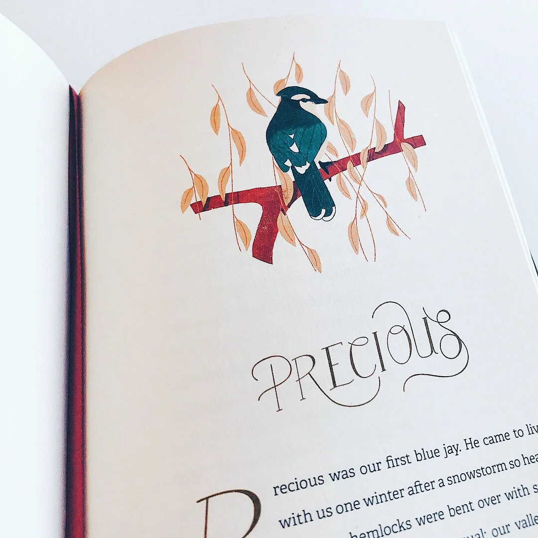 Shoebox Funeral : Book — Smllsprk