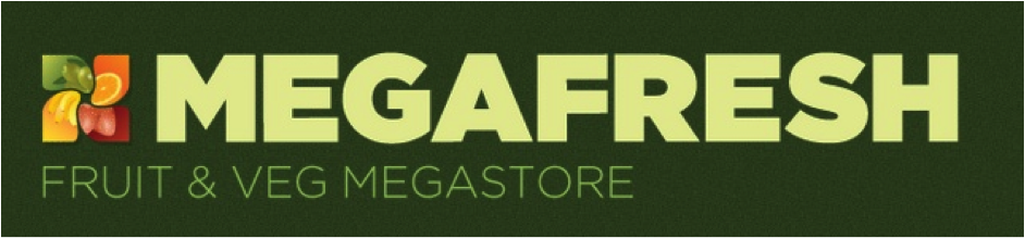 Future Net POS Solutions
