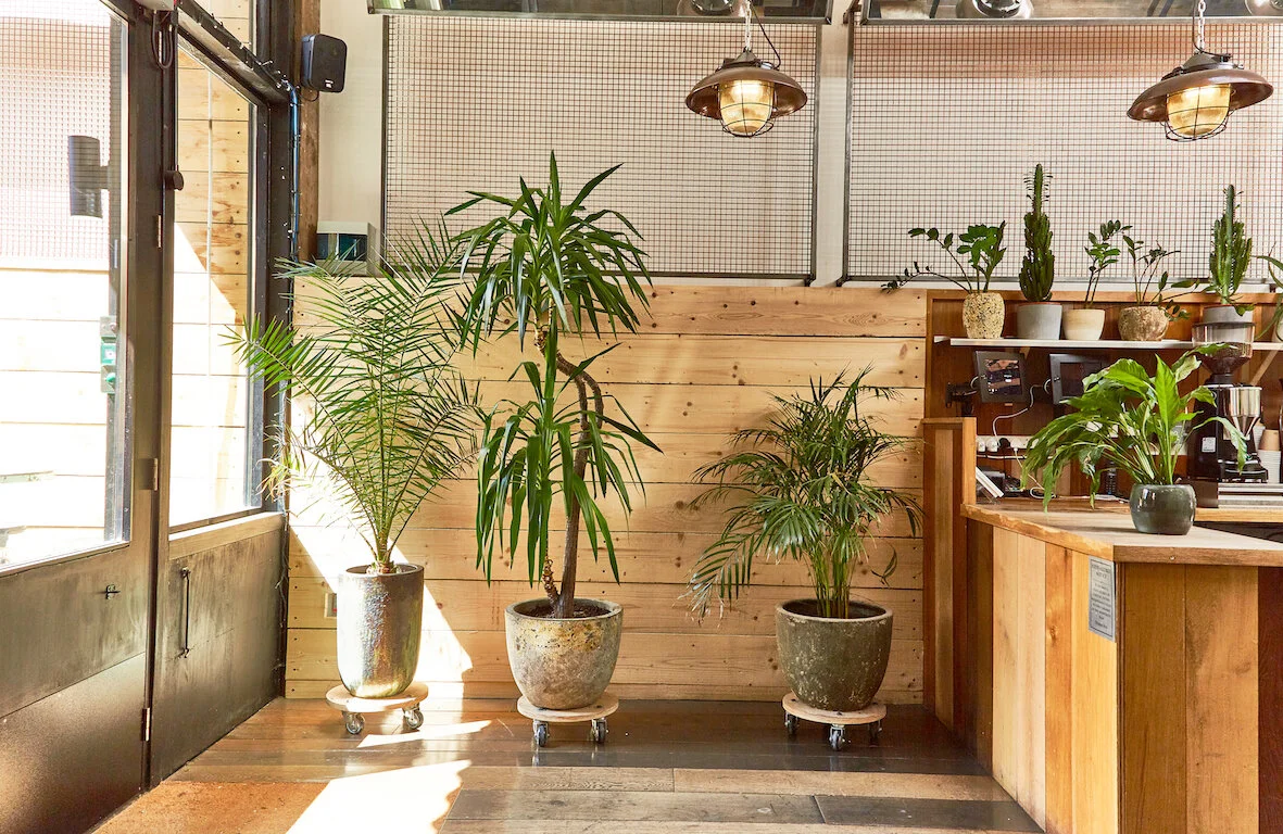 WHITE RABBIT Cafe — White Rabbit Shoreditch