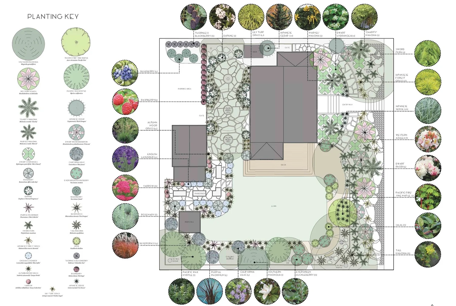 Residential Design — Lumo Landscape Design