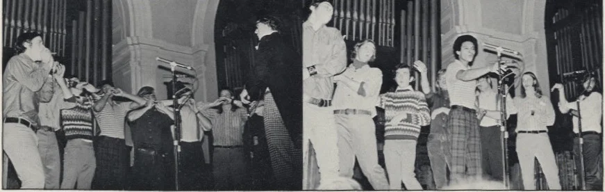 About the D8 — The Dissipated Eight