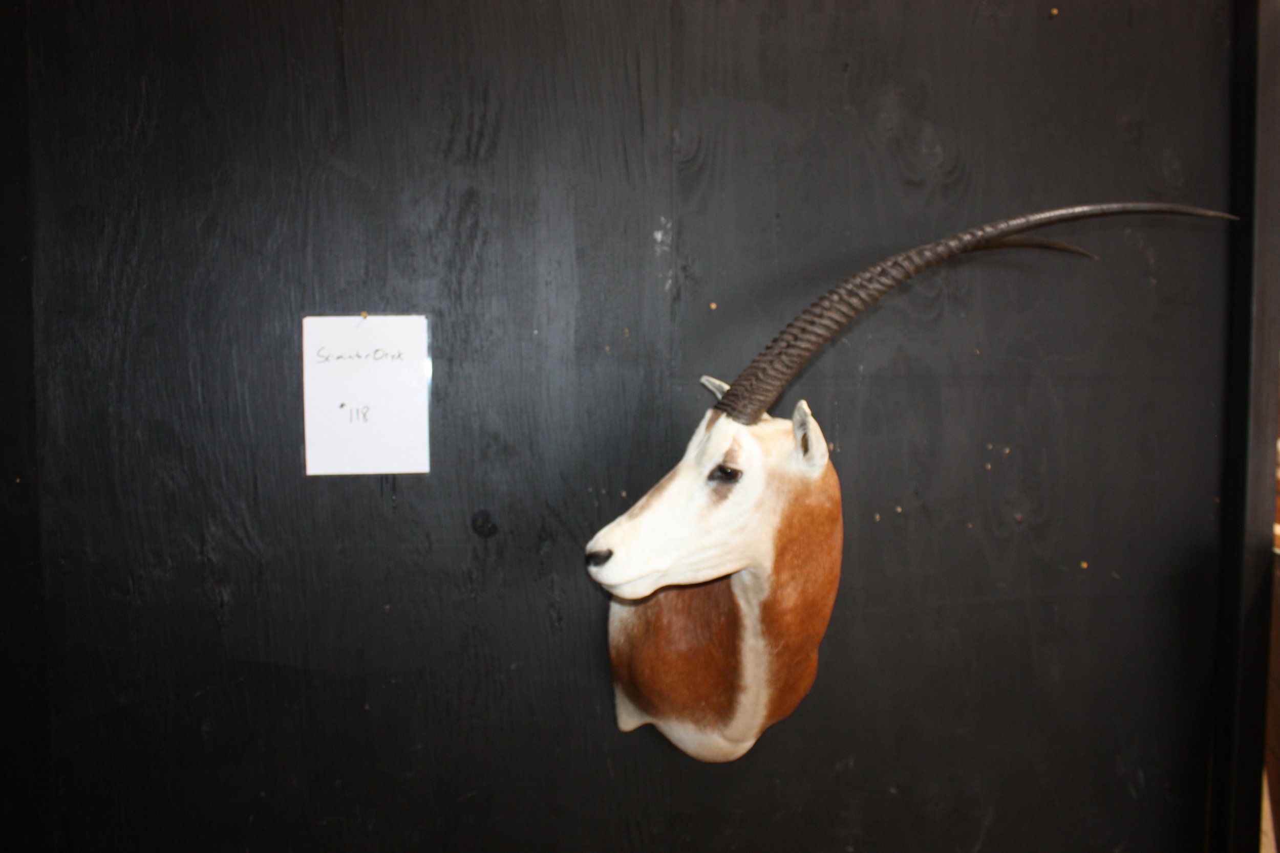 For Sale — DoubleNickle