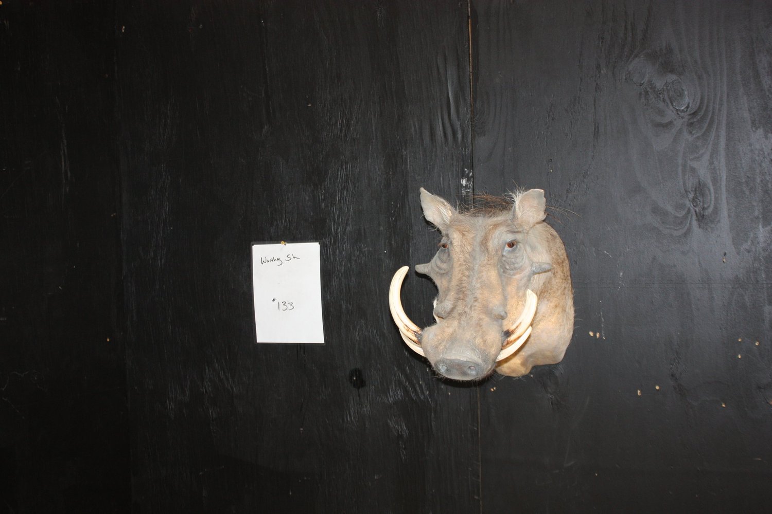Warthog Mount
