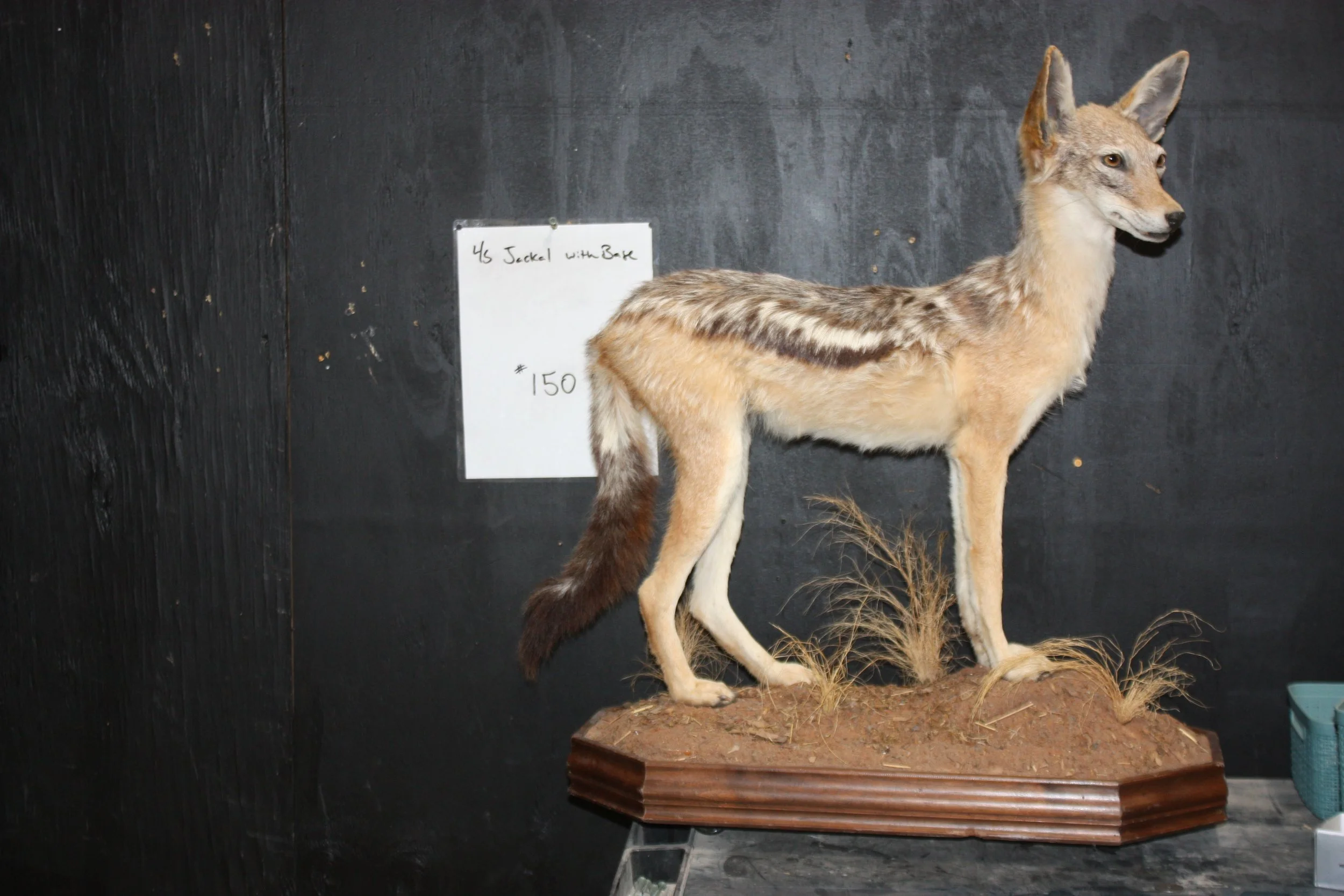 For Sale — DoubleNickle