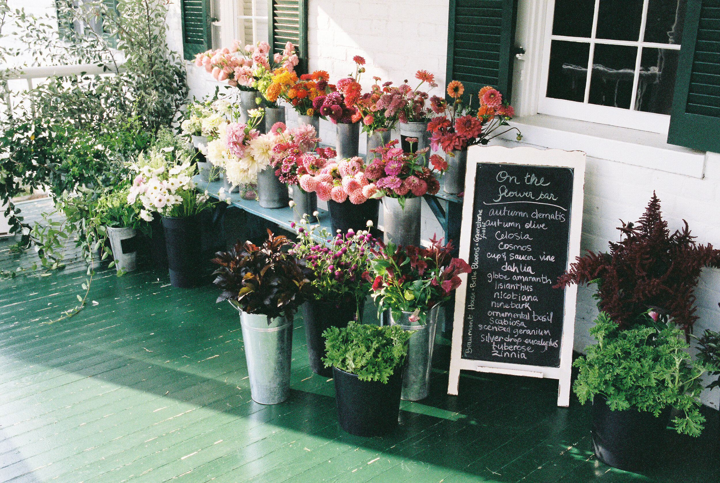The Floral Workshop Experience - Beaumont House Design — Beaumont House ...