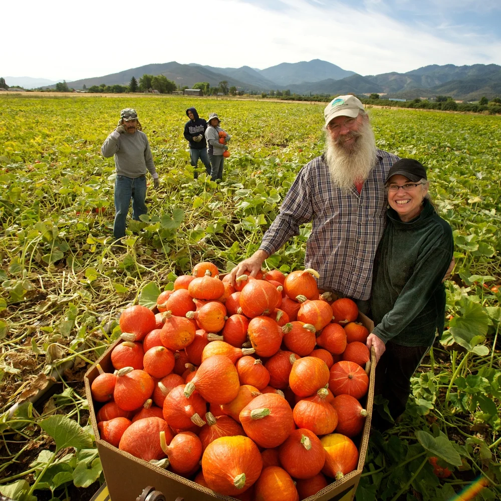 CSA — Fry Family Farm