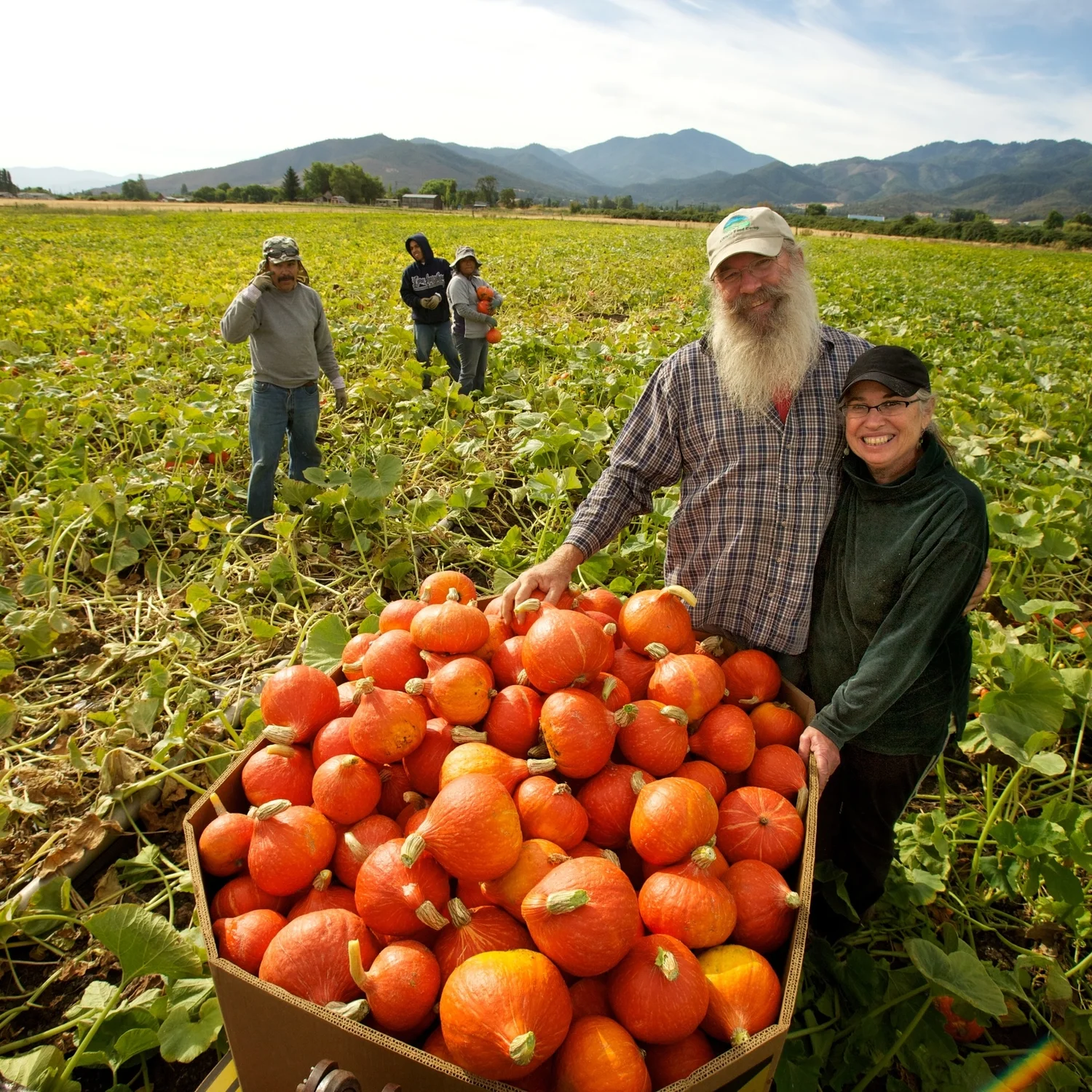 CSA — Fry Family Farm