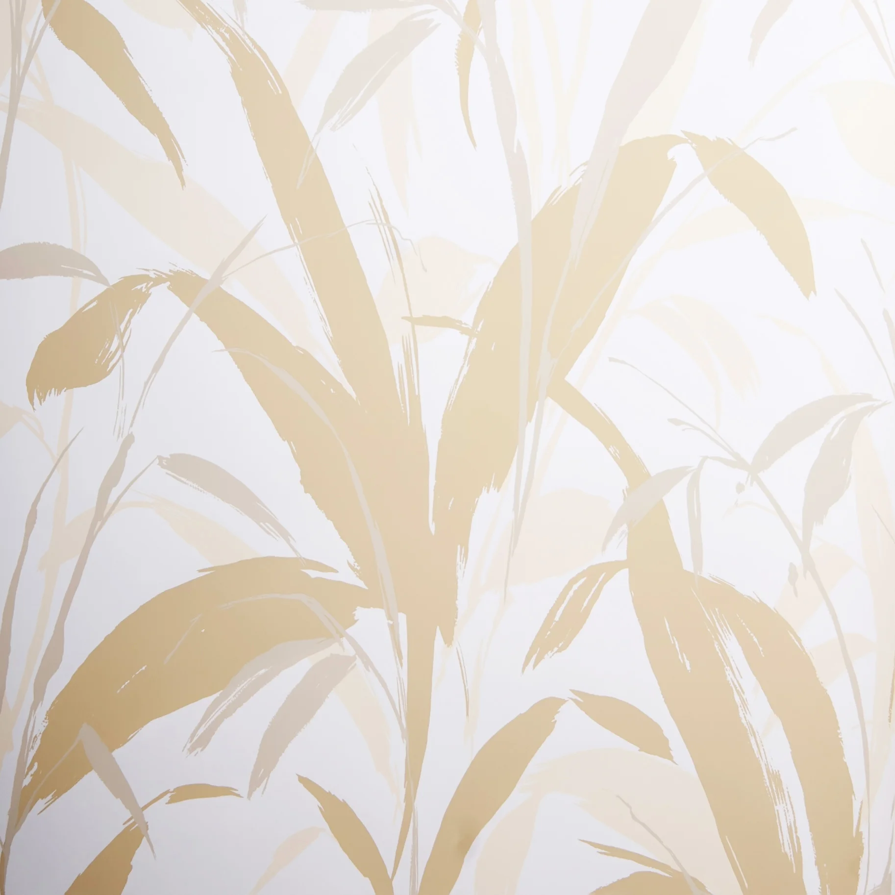 Meadow Reed — Meg Braff Designs