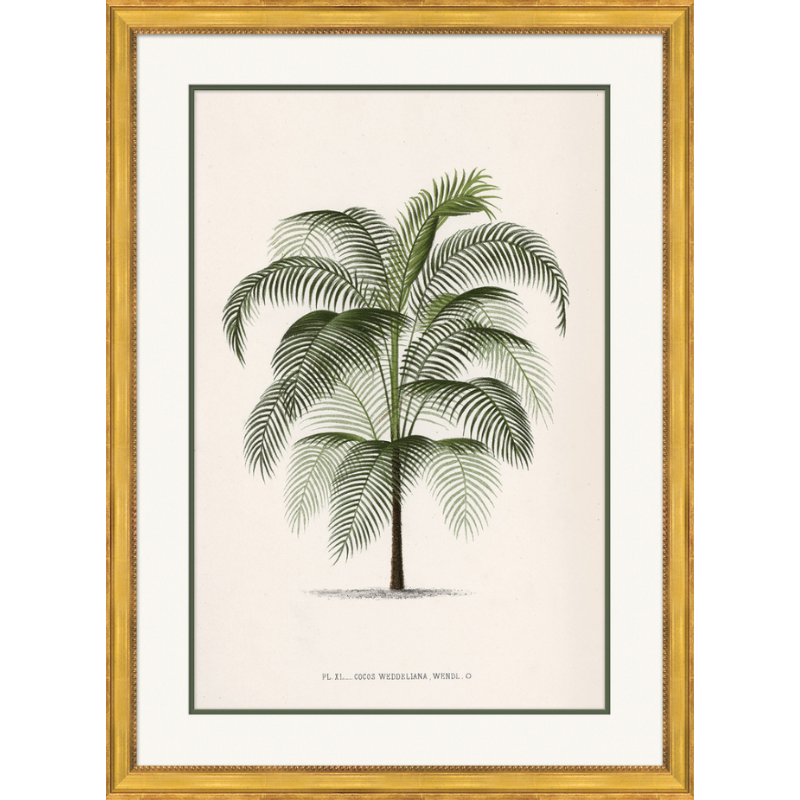 WHITE PLASTER BANANA LEAF WALL TILE — Meg Braff Designs