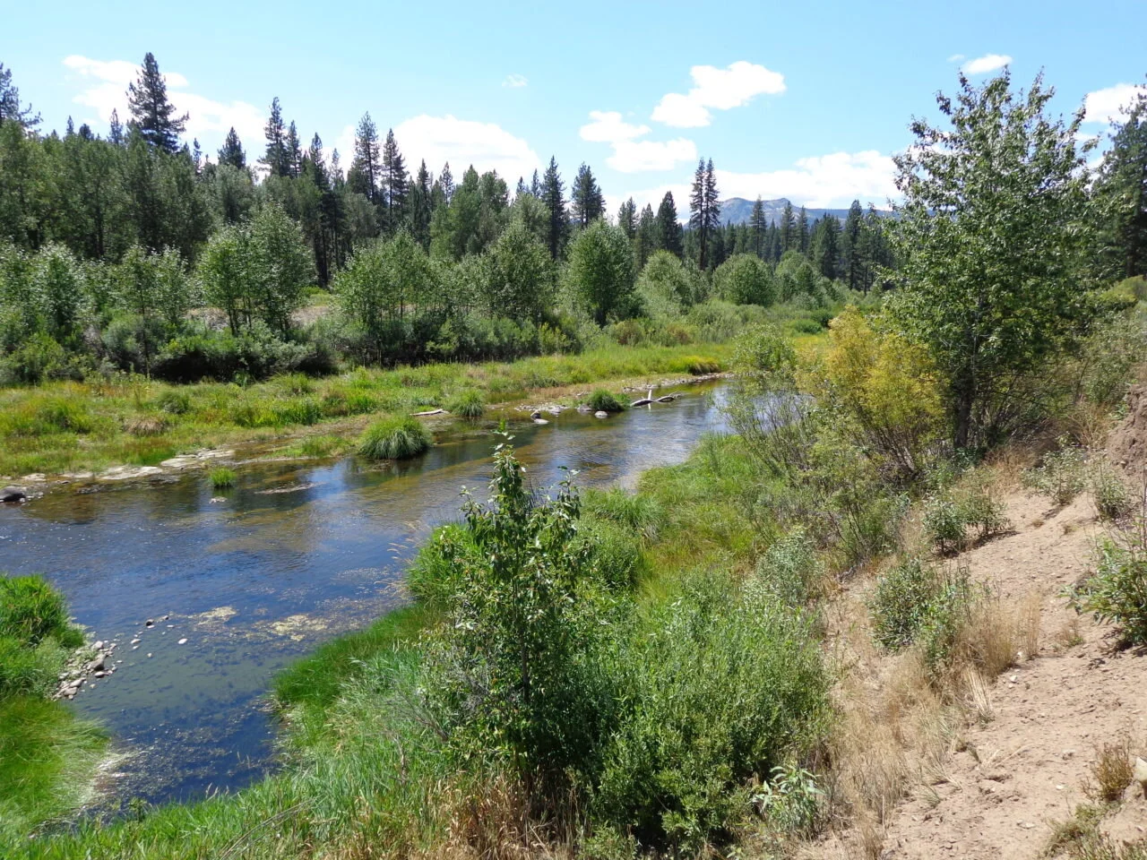 Feather River Watershed Meadows Portfolio — California Water Action ...