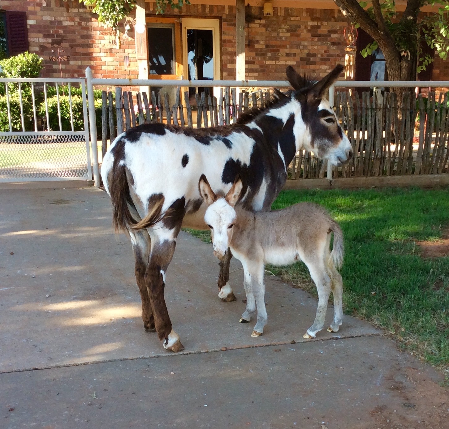 Circle Bar Ranch Welcome