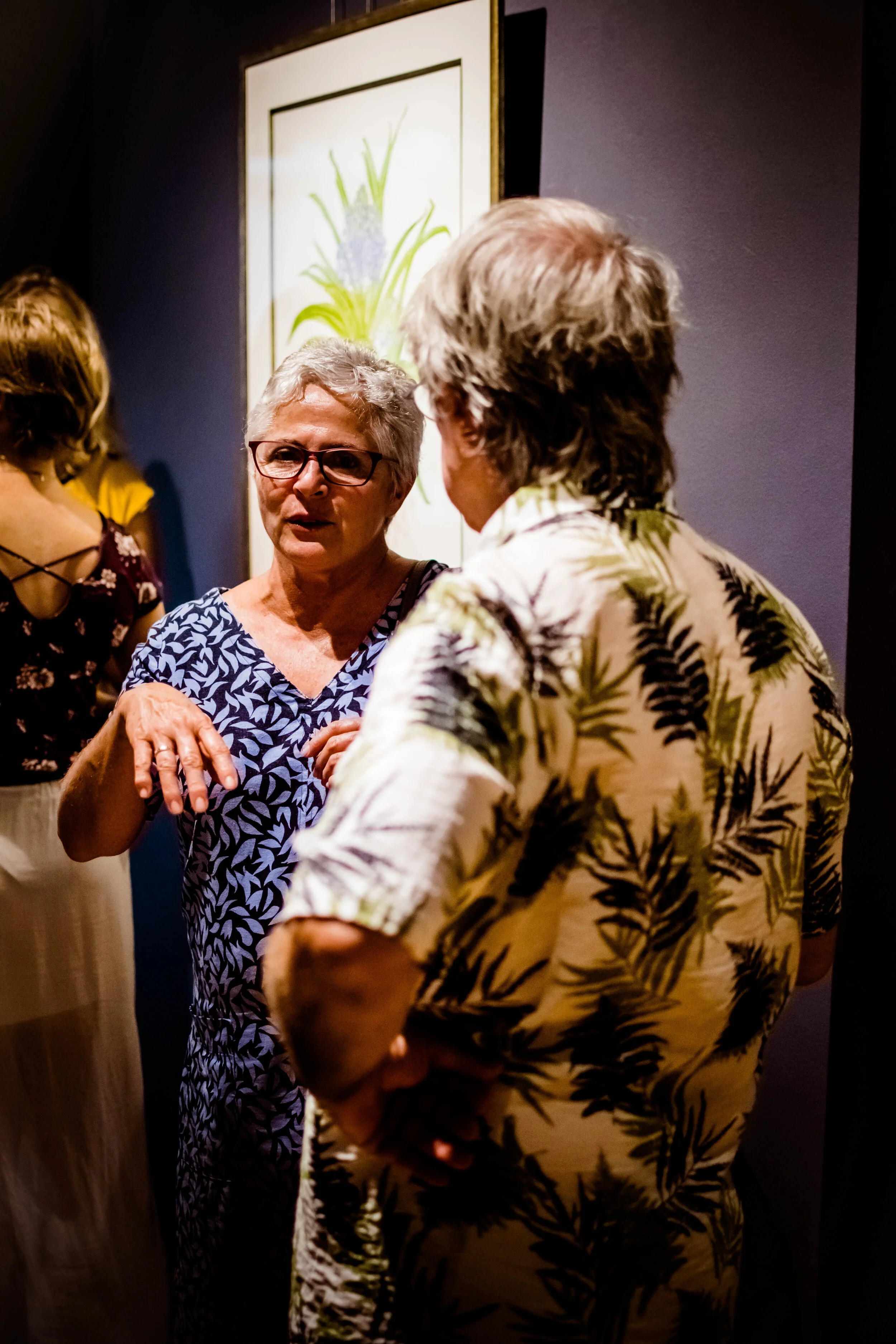 veld blom / wildflower | barbara pretorius — slee+co.