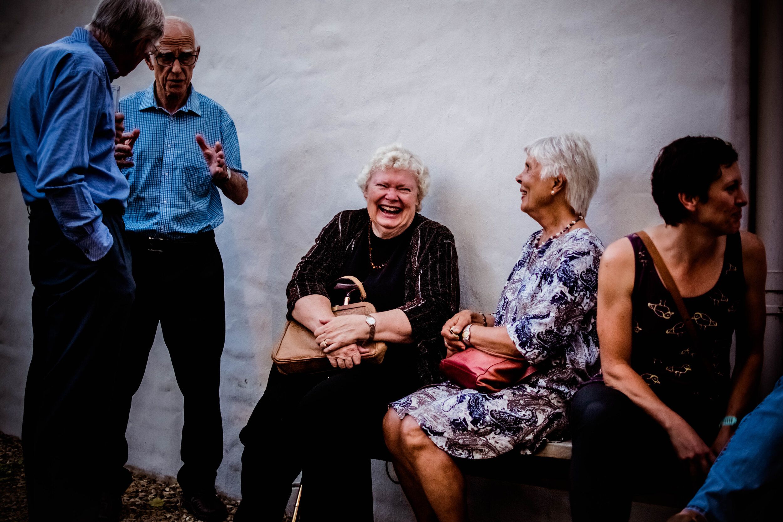 veld blom / wildflower | barbara pretorius — slee+co.