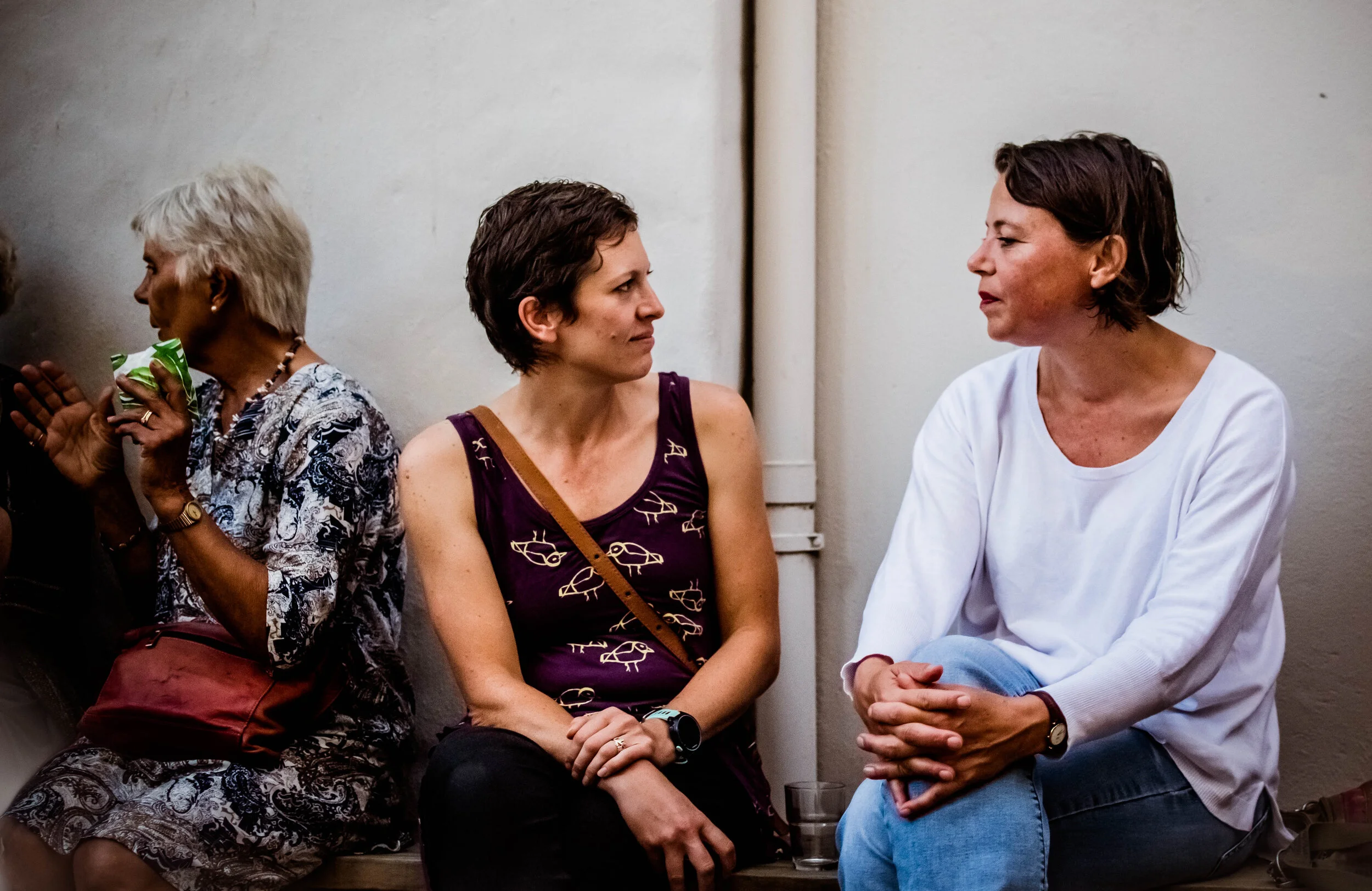 veld blom / wildflower | barbara pretorius — slee+co.