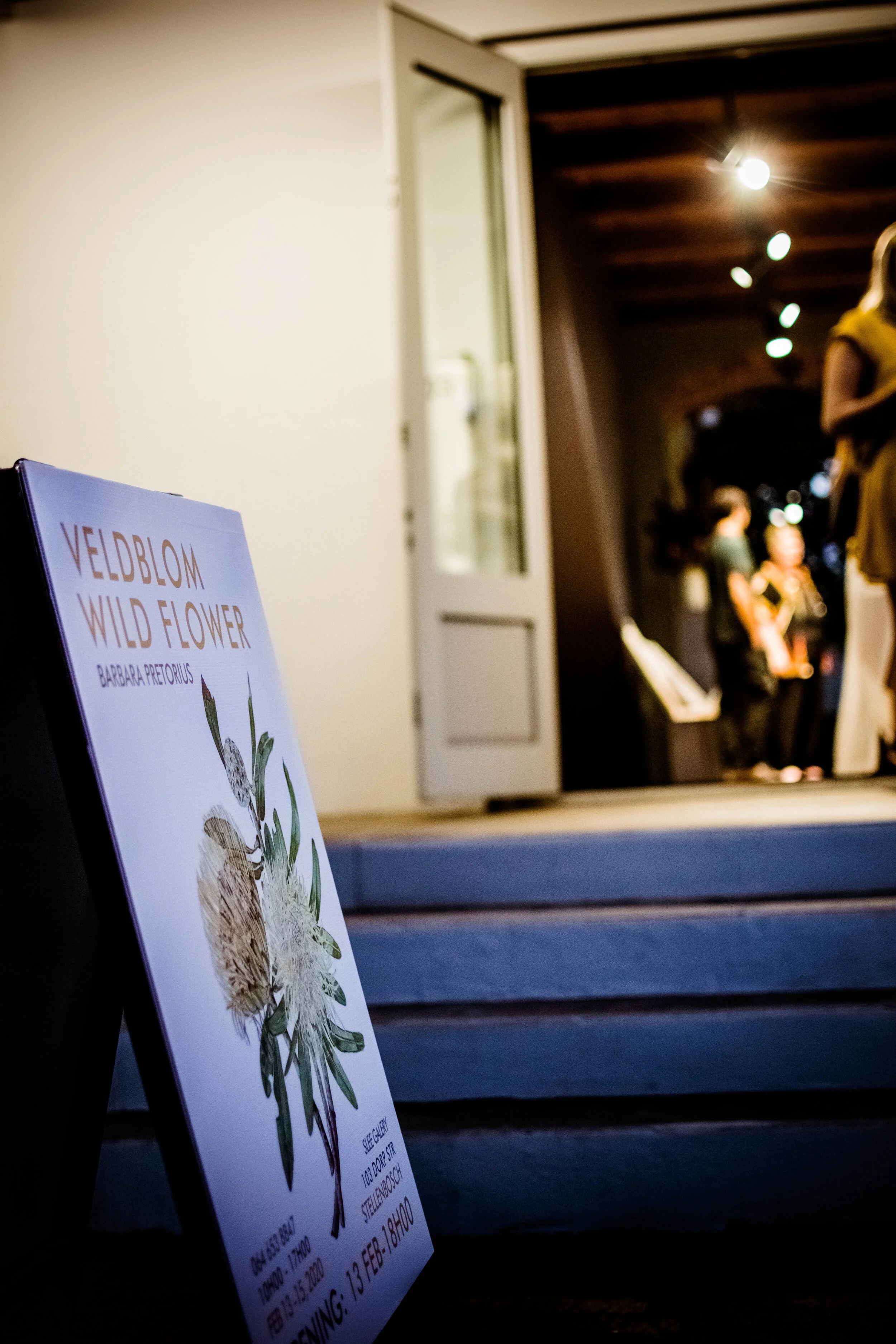 veld blom / wildflower | barbara pretorius — slee+co.