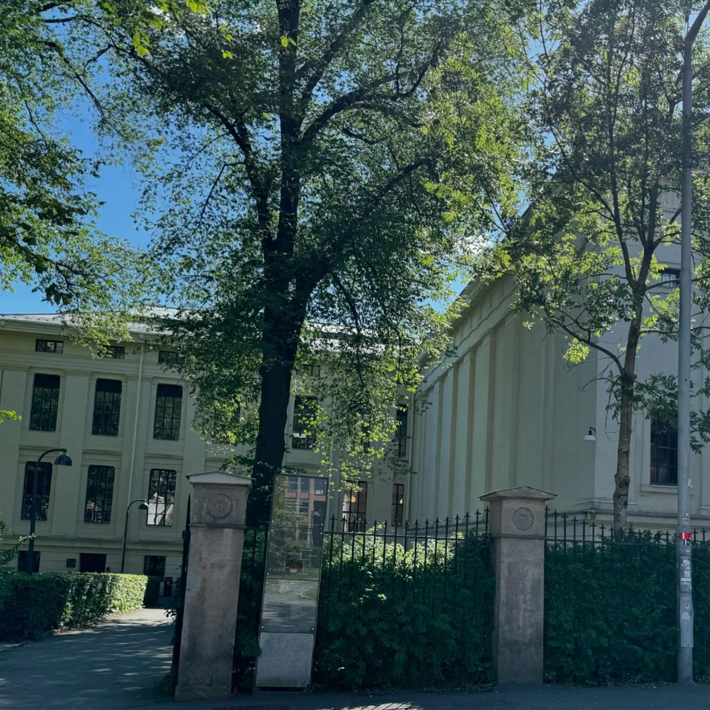 Everything You Need to Know about the SRAR — College Sage