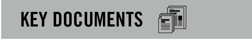 The Core Standards — Amnesty International Leadership