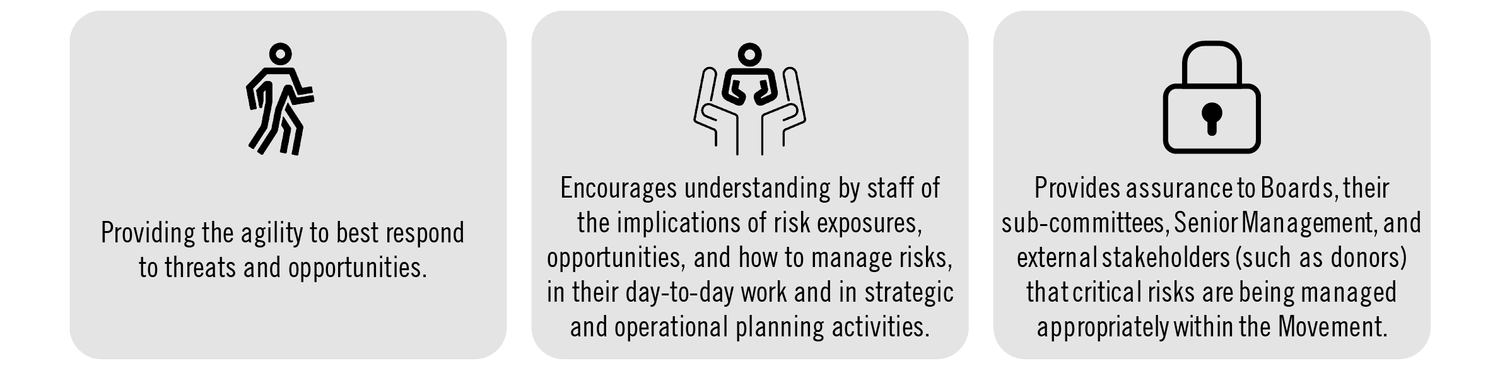 Risk Management — Amnesty International Leadership