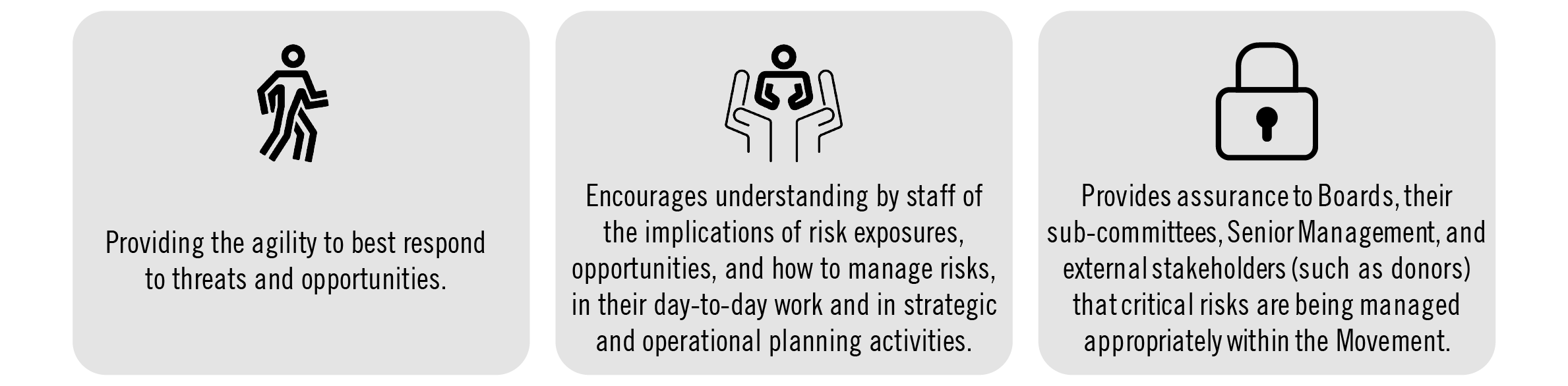 Risk Management — Amnesty International Leadership